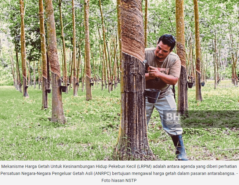 Laman Web Rasmi KPK - GETAH : Mekanisme imbangi harga getah dimuktamad ...